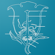 Login - Progressive Insurance